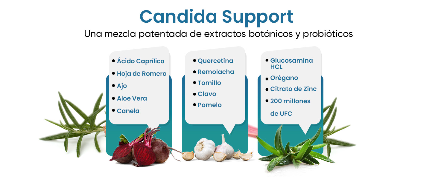 Candida Support 180 Cápsulas - Con Probióticos para la Flora Intestinal ...