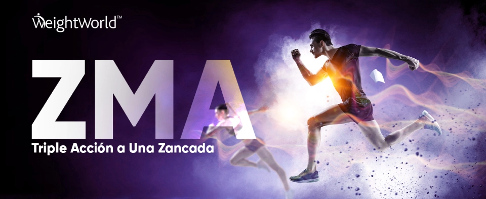 Cápsulas de ZMA - Comprar ZMA Suplemento Deportivo Online